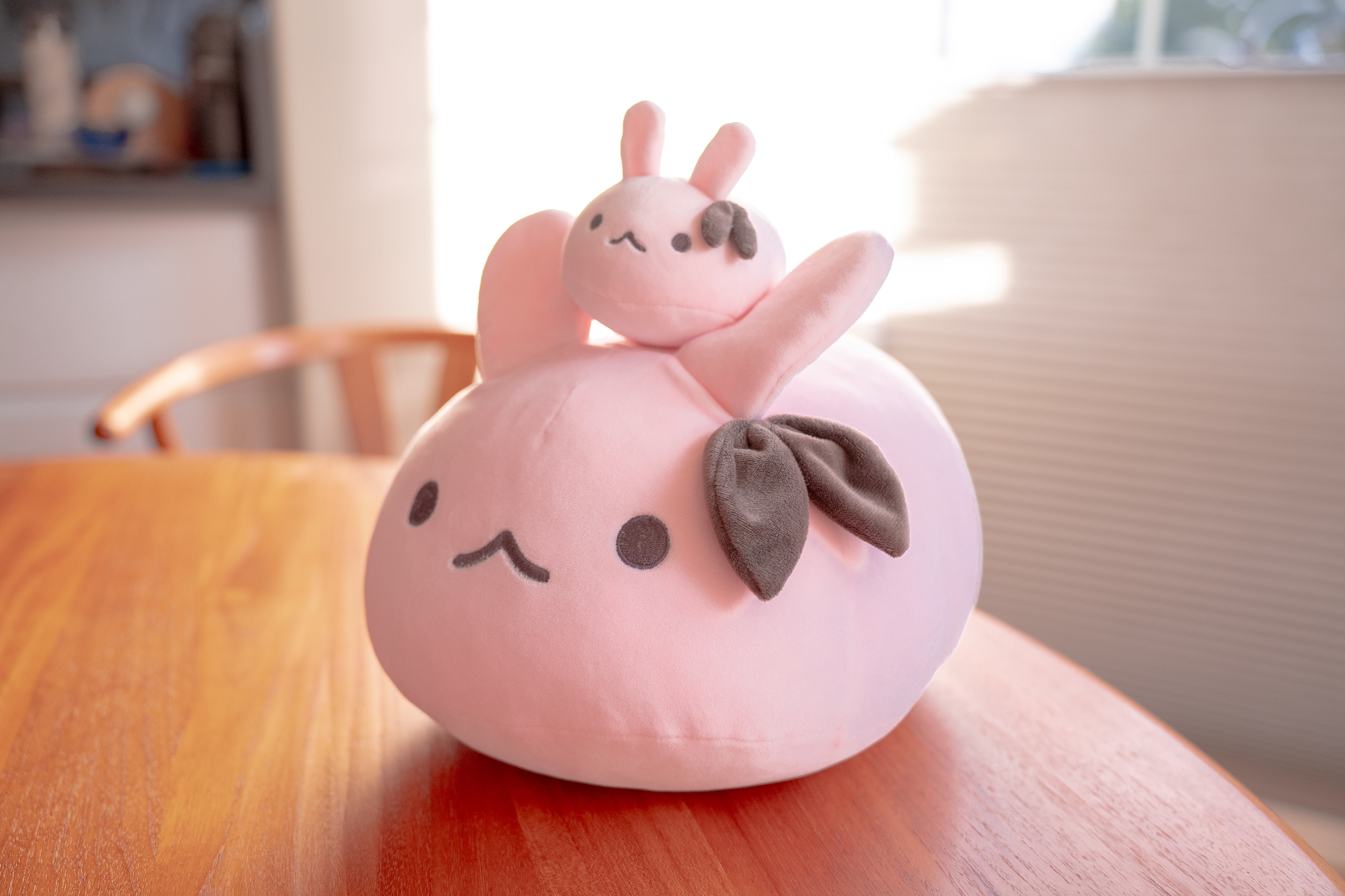 PLUSH